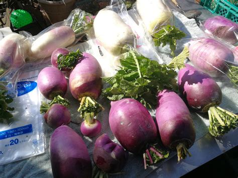 菜園場でいま採れる野菜たち2 16時点 菜 園 場小山農園