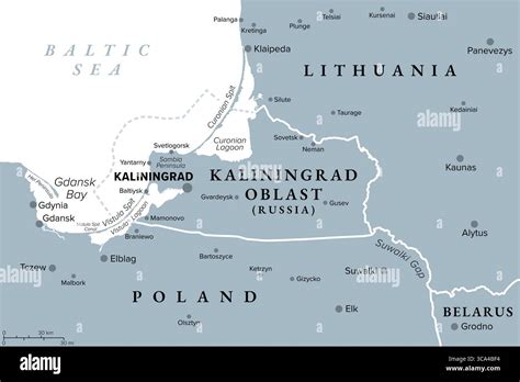 Kaliningrad And Vicinity Gray Political Map Kaliningrad Oblast