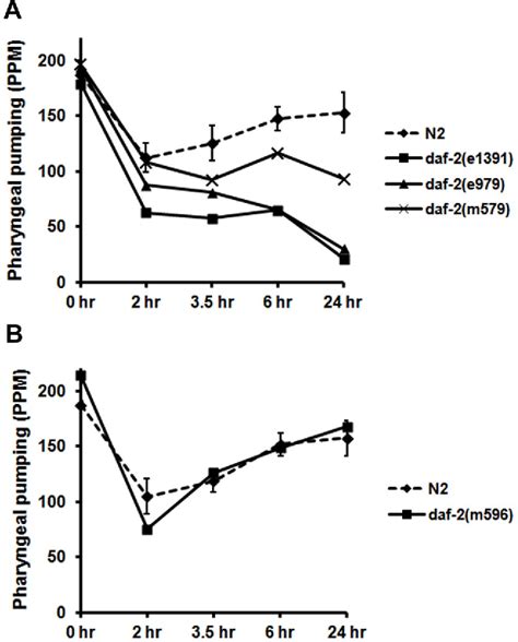 Figure 2 From Insulin Igf 1 Signaling Including Class Ii Iii Pi3ks β Arrestin And Sgk 1 Is