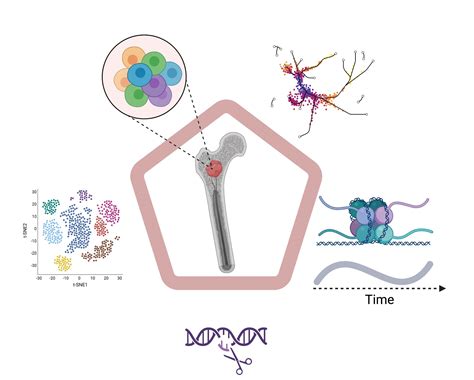 Research Bado Laboratory