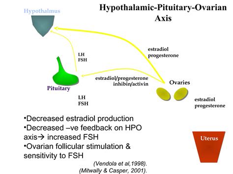 Letrozole Ovulation Induction Ppt