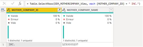 issue duplicate primary key value detected by er microsoft