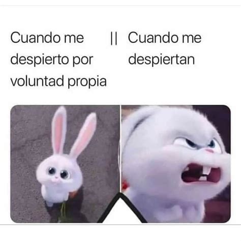 Yo Cuando Hablo Con Mi Amix Por Videollamada Chismesito Aaaaaa Cuéntame Todo Memes