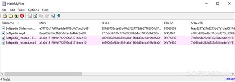 Hashmyfiles Download Softpedia