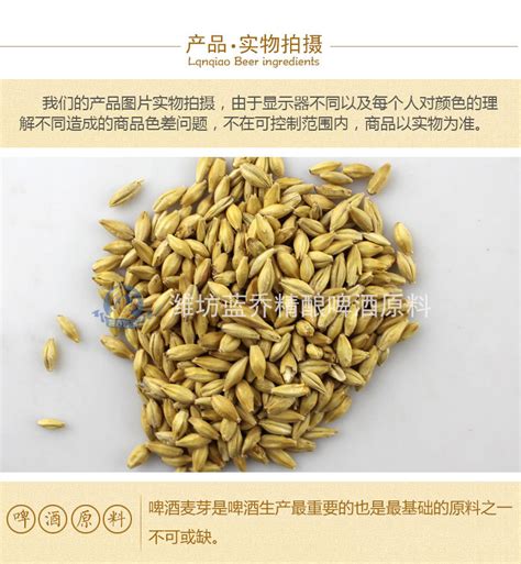 澳麦芽加麦芽自酿精酿啤酒生产原料啤酒大麦芽二楞基础麦芽蓝乔 阿里巴巴