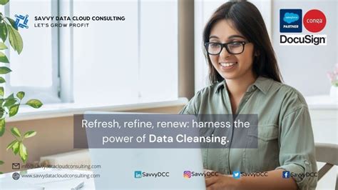 Datacleansing Data Datascience Datascienceconsulting Datacleaning Savvy Data Cloud