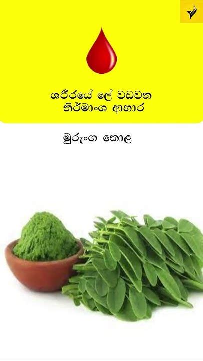 ශරීරයේ ලේ වඩවන නිර්මාංශ ආහාර 😍👌 Food Health Facts Youtube