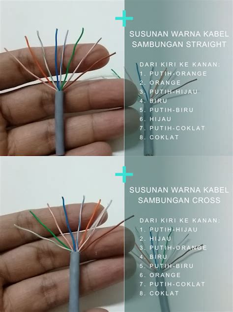 Cara Mudah Crimping Kabel Lan Tutorial Untuk Pemula Susunan Warna Kabel Alat Proses