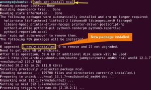 The Apt Command In Linux Practical Examples