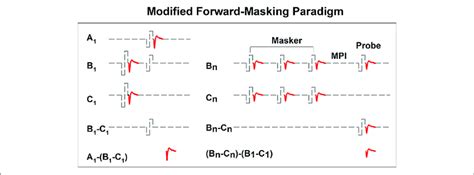 A Schematic Illustration Of The Modified Forward Masking Paradigm Download Scientific Diagram