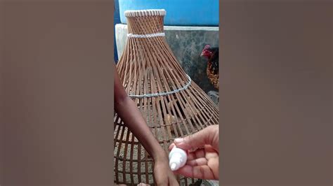 মুরগির বাচ্চা গুলোকে ভ্যাকসিন করলাম। Youtube