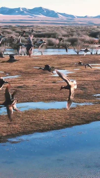 Хавар цаг хайрын цаг Youtube