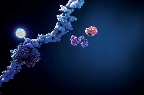 Epitranscriptomics Another Wonder Of Molecular Biology Inquiscitive