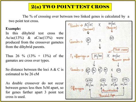 Gene Mapping Methodslinkage Maps And Mapping With Molecular Markers Pdf Genetics Science