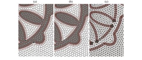 A Mesh After Elimination Of Short Voronoi Edges B Voronoi Mesh Download Scientific Diagram