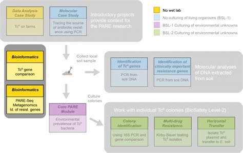 Bioinformatics Center For Science Education At Tufts University