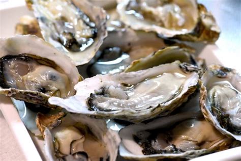 広島県の名物といえばコレ！絶対におすすめな人気のご当地グルメの名店10選！ Seeingjapan