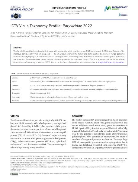 ictv virus taxonomy profile potyviridae 2022 international potato center