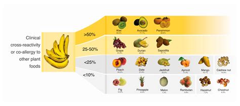 Not Just A Banana The Extent Of Fruit Cross Reactivity And Reaction Severity In Adults With