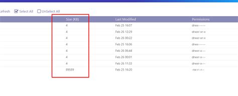 Where Do I View The Disk Usage Of My Website General Discussion Cyberpanel Community