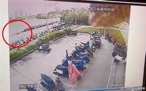 浪浪小黑掰咖躲車站全身是傷苦撐3天慘死 生前最後影像曝光 ETtoday寵物雲 ETtoday新聞雲
