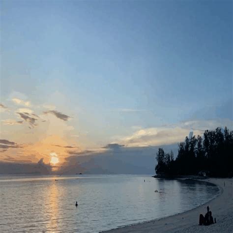 Framer Interactive Video Interpolation