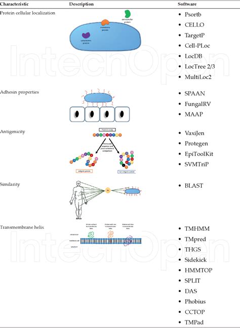 Table 1 From The Impact Of Bioinformatics On Vaccine Design And Development Semantic Scholar