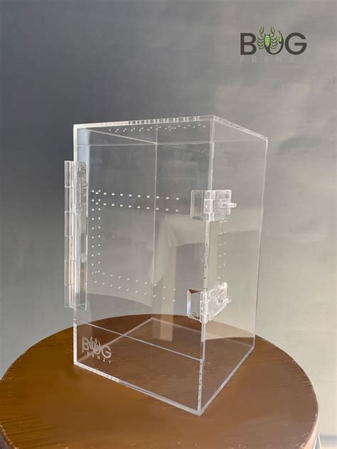 The BIG Bug Box With Basic Mantis Kit Bug Frenzy