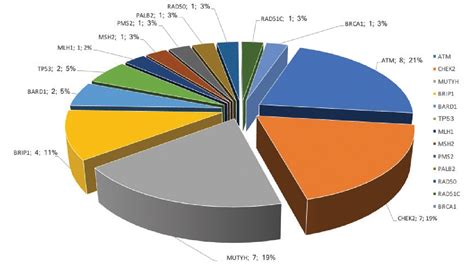 Figure 1 From Multigene Panel Testing In Turkish Hereditary Cancer Syndrome Patients Semantic