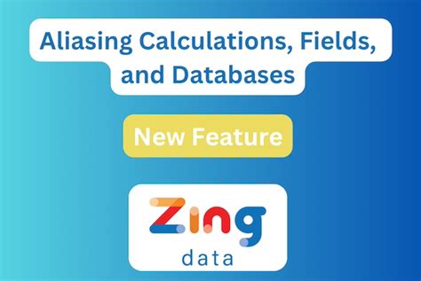 Calculation Field And Database Aliasing Zing Data Genai Business