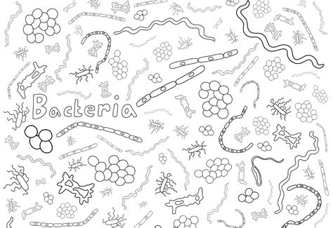 Microbiology Coloring Pages