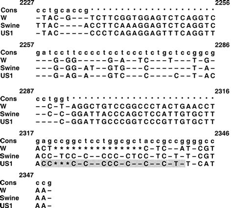 Nucleotide Sequence Alignment Of The Hypervariable Region In Orf1 From