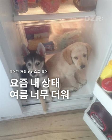 Dzr Mag 패션 매거진 나만 알고싶은 느좋남 오늘은 느좋남 소개 드릴게요 피드를 보자마자 이건 소개해야한다 싶어서 약간의 인터뷰도 하고 모셔왔답니다🧡 광고