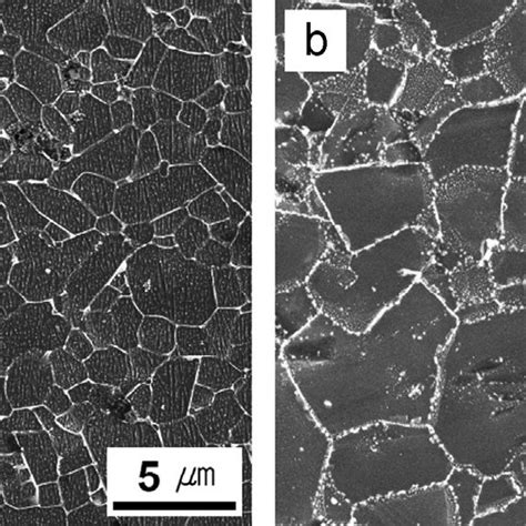X Ray Diffraction Patterns Of The Sic Ceramics Sintered With 2 Vol Y 2