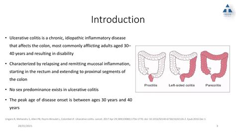 Ulcerative Colitis Protocol Presentation Pptx