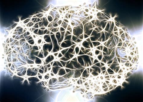 New Insights Into How Astrocytes Help The Brain Process Information Neuroscience News