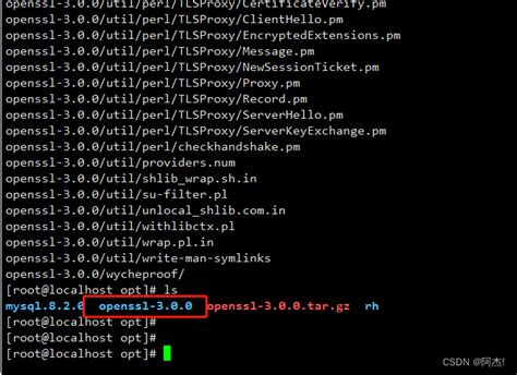 linux升级openssl版本 CSDN博客