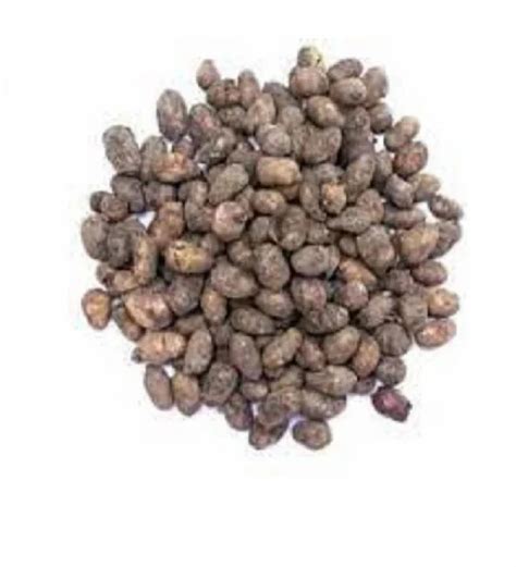 Syzygium Cumini Linn At ₹ 950kg Syzygium Cumini Seed In Dehradun