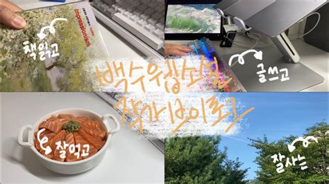백수 웹소설 작가 Vlog 저도 갓생에 껴주시면 안 될까요 7시 기상하는 백수 매일 글 쓰고 책 읽고 여름 집밥