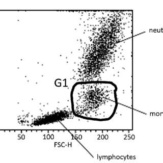The Example Of SSC Vs FSC Analysis Of Peripheral Blood Sample White Download Scientific