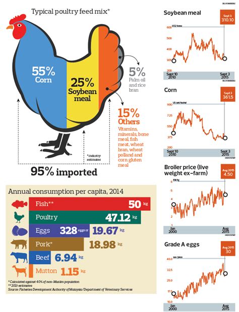 Poultry Farmers Face Spectre Of High Feed Cost