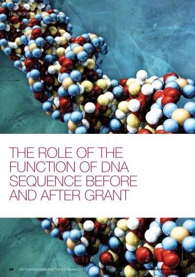 The Role Of The Function Of DNA Sequence Before And After Grant