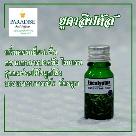 ซื้อ 5ฟรี1 น้ำมันหอมระเหย ขนาด 30 Ml มี 27 กลิ่น ใช้กับเครื่องพ่นไอน้ำ เตาอโรม่า Essential Oi