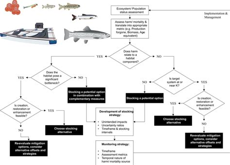 Flowchart Of Potential Stocking Application In The Context Of Residual Download Scientific