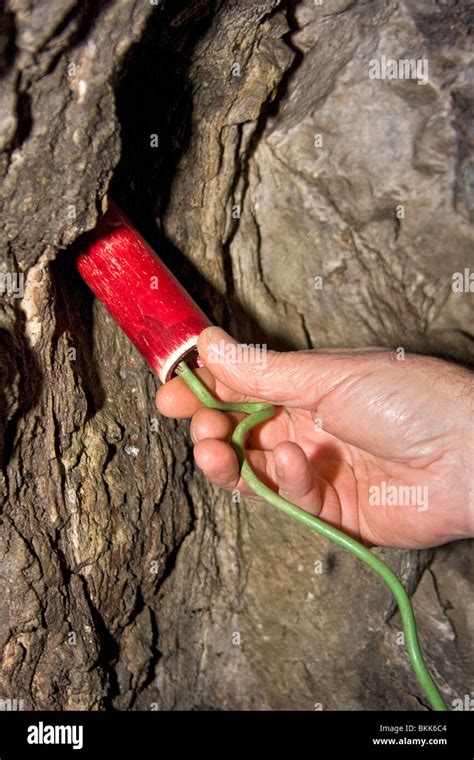 Miner Pushes Dynamite Into Hole To Show How Mining Was Done During Gold Rush Days This Was