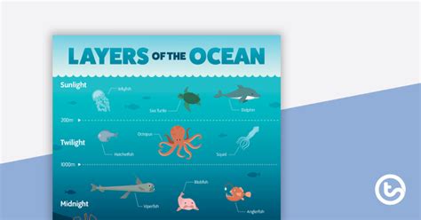Layers Of The Ocean Poster Layers Of The Ocean Teaching Posters