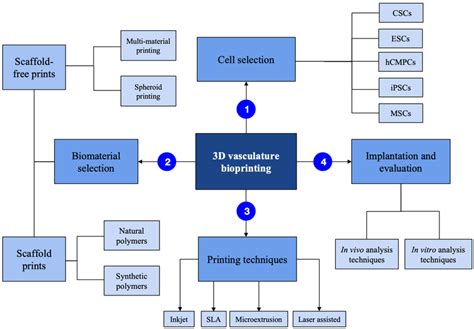 3 Dimensional Bioprinting Process Summarized Download Scientific Diagram