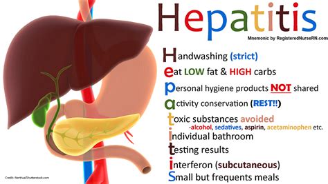 Hepatitis A B C D E Nursing Nclex Review