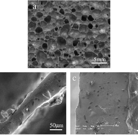 macrostructure and microstructure of closed cell coppercoated carbon