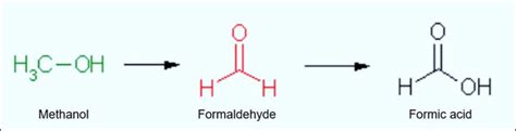 Formalin Fixation Tissue Sampling Processing And Staining